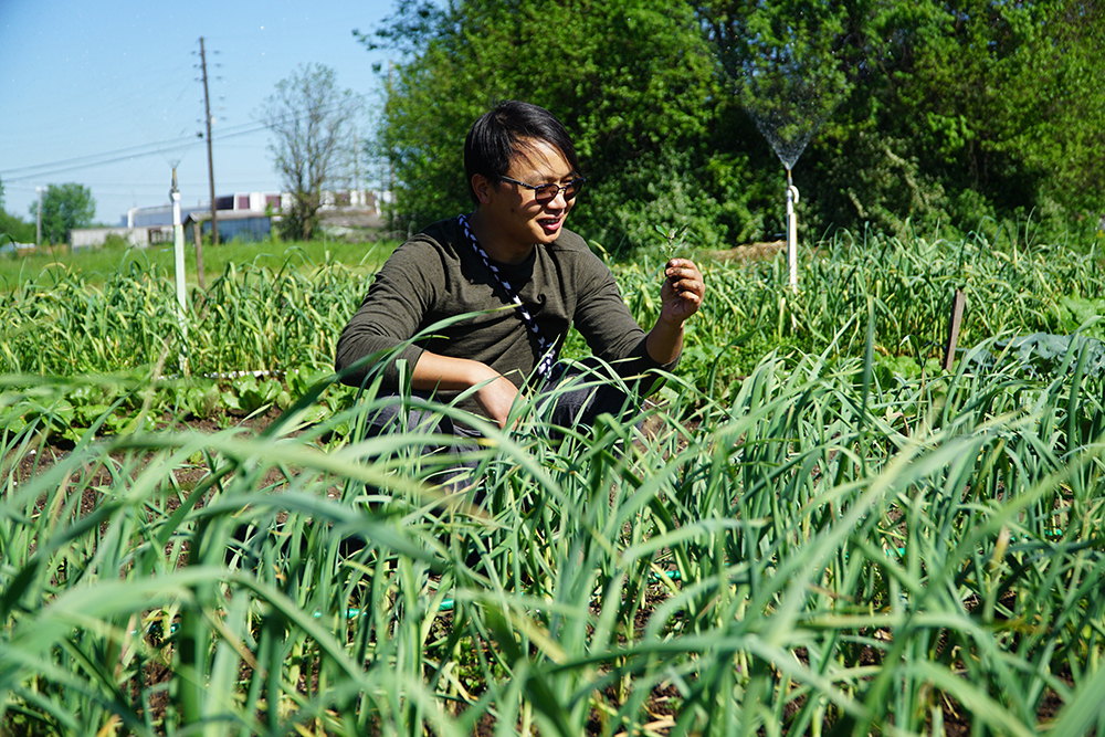 Common Earth Gardens program teaches refugee farmers to become ...