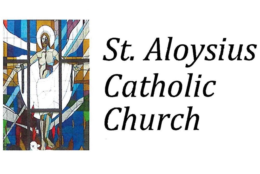 St. Aloysius student finds success in state Governor’s Cup contest ...