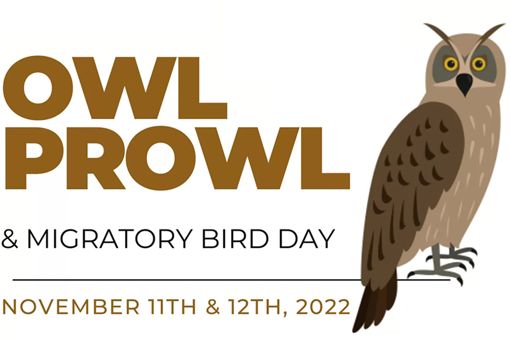 Mount St. Francis will offer ‘Owl Prowl and Migratory Bird Day’ in ...