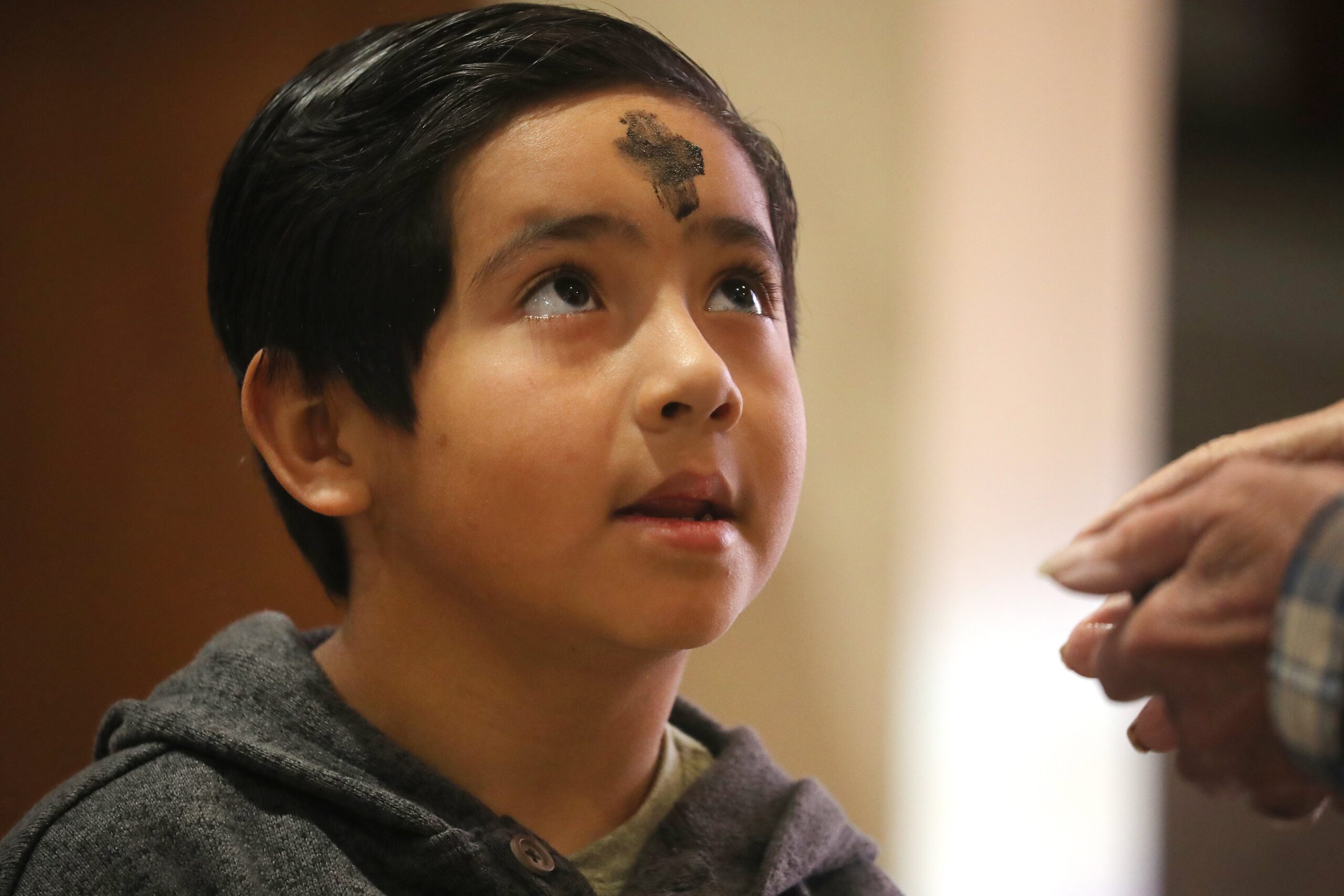 Ash Wednesday teaches human fragility, Gospel hope, says pope in pre ...