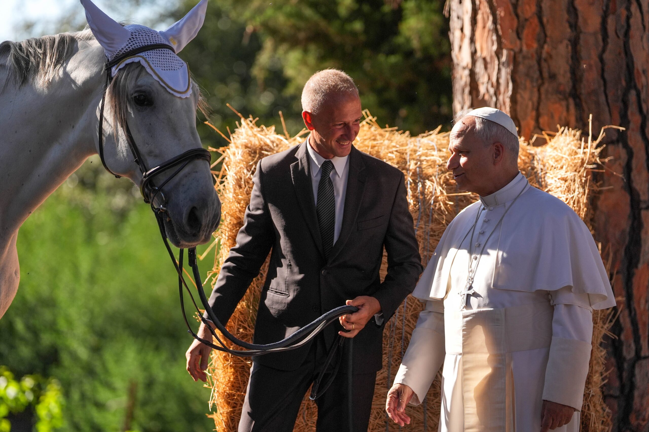 El Papa inaugura un centro ecológico y una granja dedicados a la economía inclusiva - The Record ...